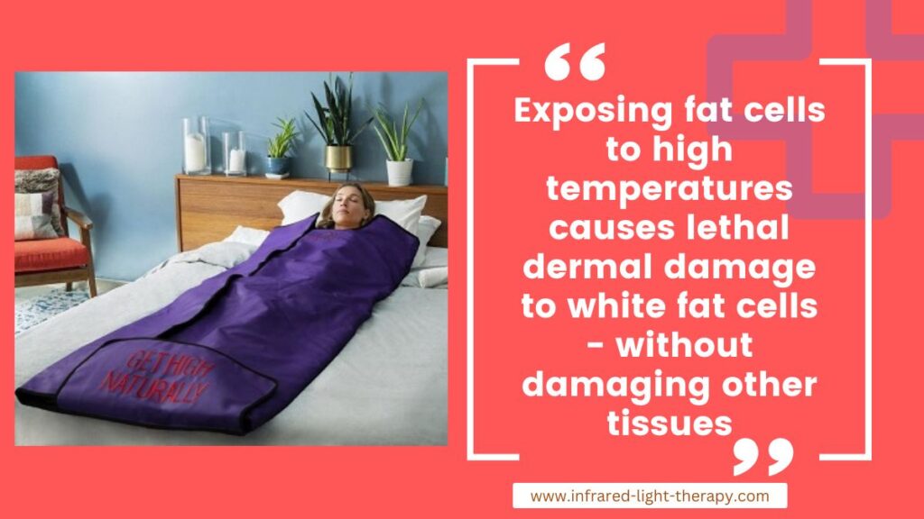 Is an Infrared Sauna Good for Losing Belly Fat (and Calories)?