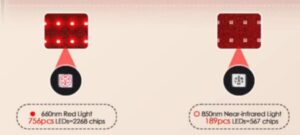 The 5 Best Red Light Therapy Mats and Blankets (2025 Reviews)